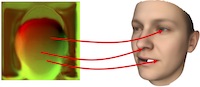 Look Ma, no landmarks! – Unsupervised, Model-based Dense Face Alignment ...